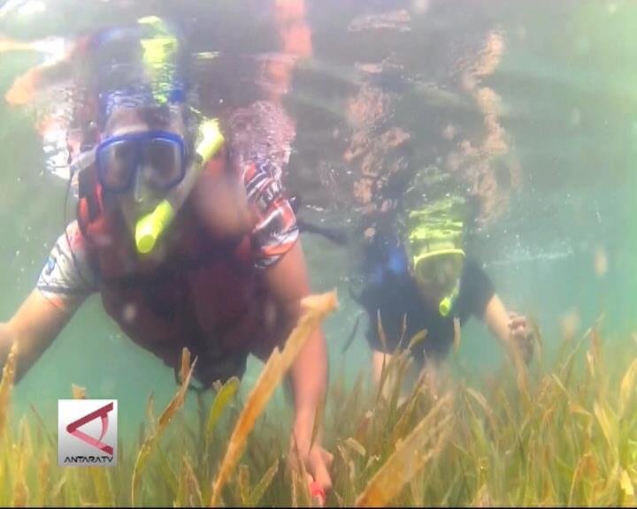 Pesona Alam Bawah Laut Afrika Van Java - ANTARA News