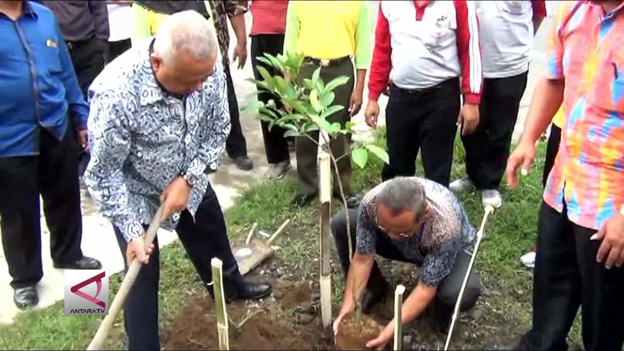 Dongkrak Ekonomi Desa Melalui Gerakan Tanam Pohon - ANTARA News
